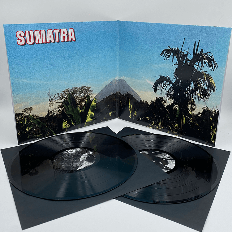 12" Gatefold Covers for Custom Vinyl Records | PhonoLab